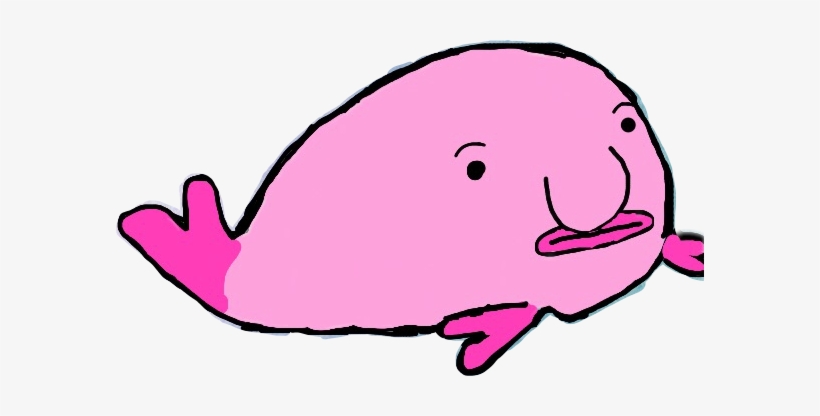 Jpg Stock Cute Kaiwaii Freetoedit Report Abuse - Blobfish Transparent ...