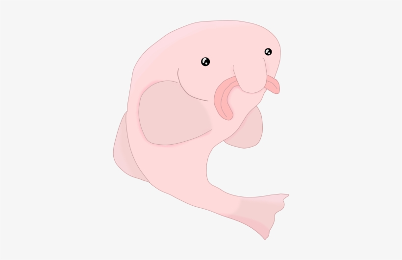 Clip Royalty Free Download Blobfish Drawing Side View - Drawing Transparent PNG - 500x500 - Free ...