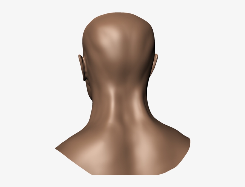 Download Back Of Head Png - Head Back - HD Transparent PNG - NicePNG.com