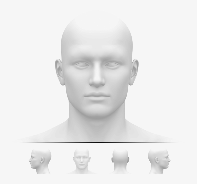 Head Front - Blank White Male Head Transparent PNG - 728x699 - Free ...