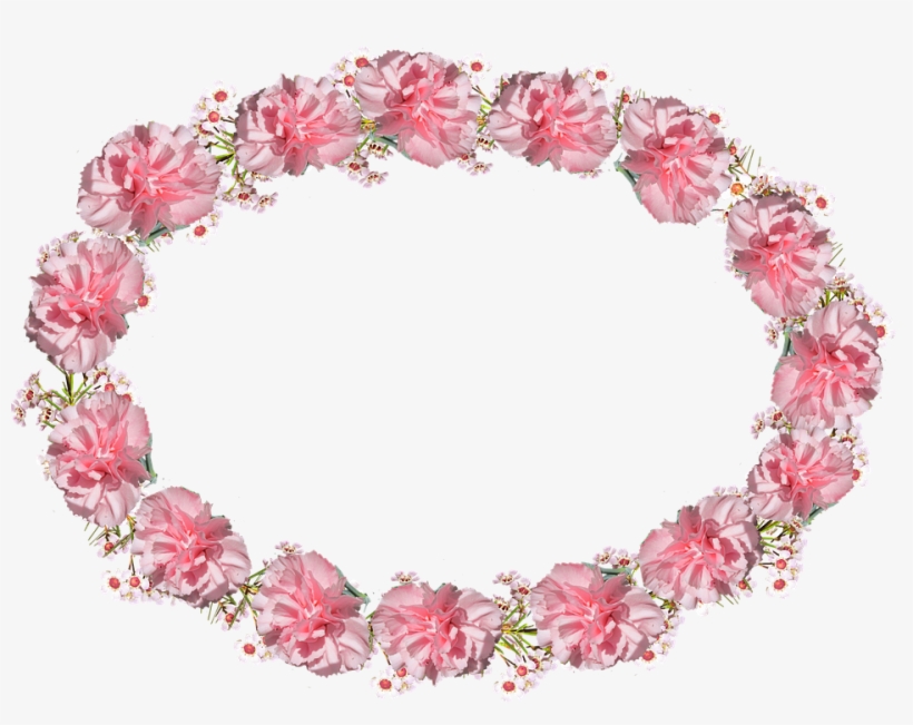 Oval, Frame, Pink, Carnation - Card Border Flower Png Transparent PNG ...