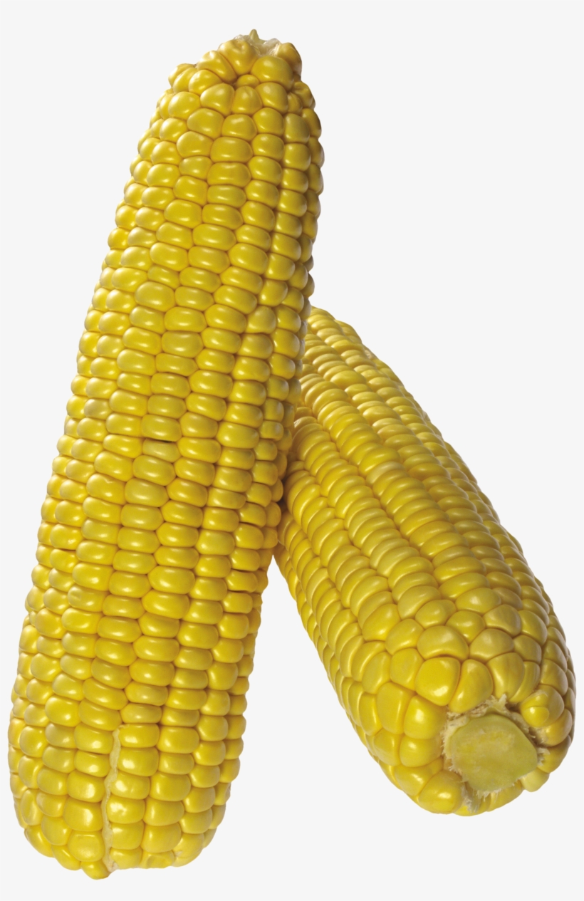 Corn Png Image - Corn With Transparent Background Transparent PNG ...