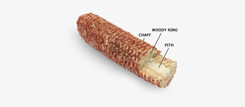 The - Center Of Corn Cob Transparent PNG - 451x311 - Free Download on ...
