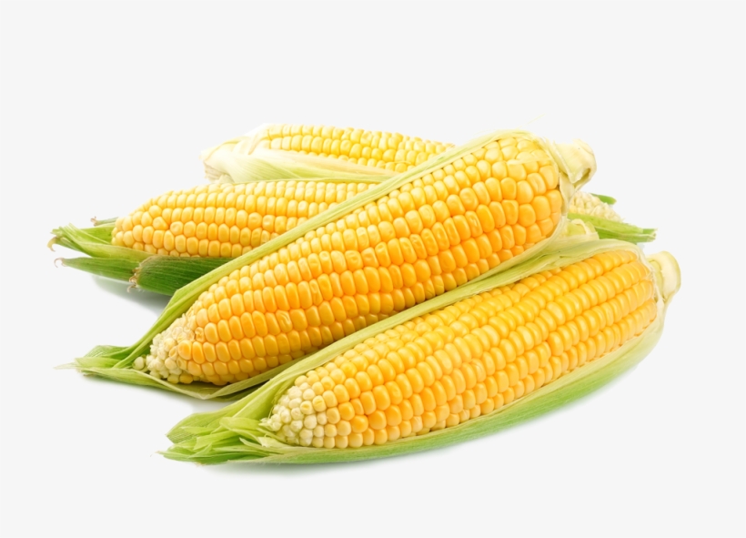 Sweet Corn Transparent PNG - 1000x1000 - Free Download on NicePNG