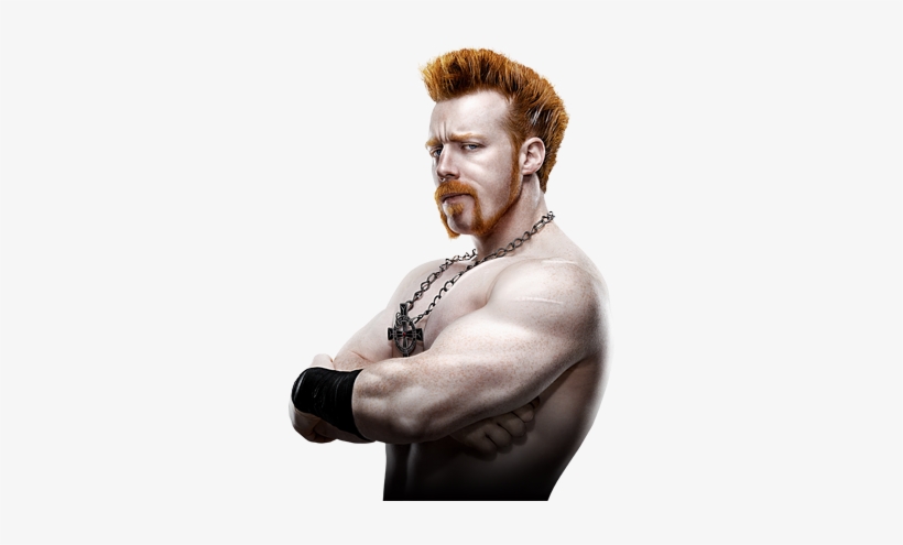 Wwe12 Render Sheamus - Wwe Sheamus Transparent PNG - 355x415 - Free Download on NicePNG