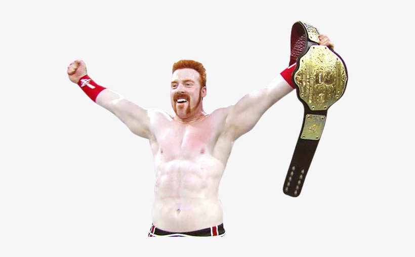 Sheamus - Professional Boxing Transparent PNG - 558x428 - Free Download ...