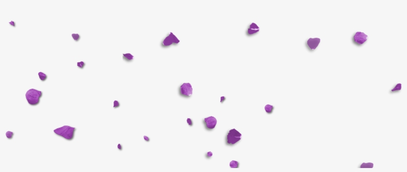 Lavender Petals Png - Violet Petals Png Transparent PNG - 2048x758 ...
