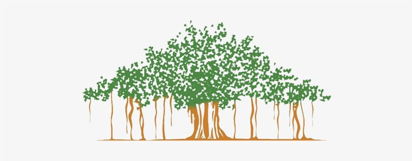 Download The Mighty Banyan Tree A - Banyan Tree Vector Png - HD ...