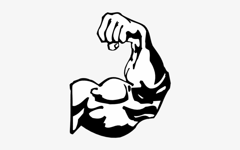 Bicep Clipart Transparent PNG - 350x432 - Free Download on NicePNG
