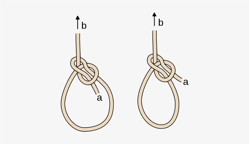 Comparison Of Standard Bowline And Cowboy Bowline (right) - Ashley Book ...