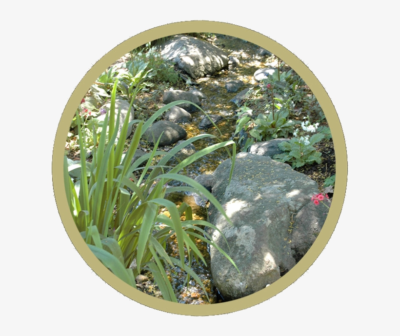 Water-feature - Water Feature Transparent PNG - 618x613 - Free Download ...