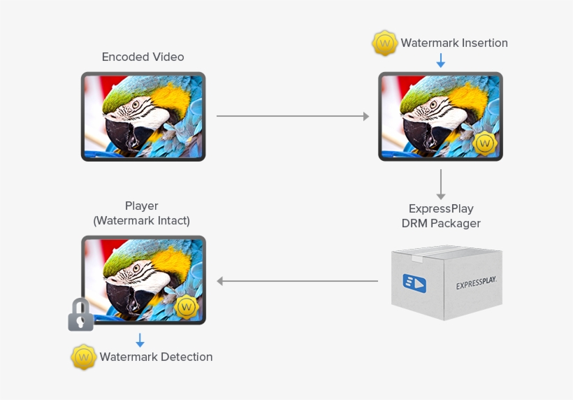 A Unique Watermark Is Applied To Each Video Stream - Cartoon ...