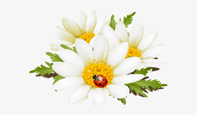 Clipart Flower Summer