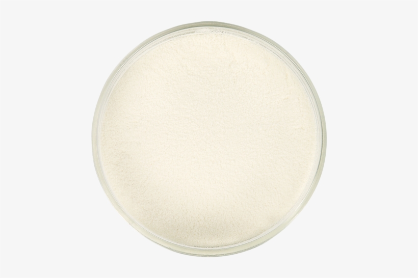 Whipped Cream Stabilizer - Circle Transparent PNG - 500x500 - Free ...