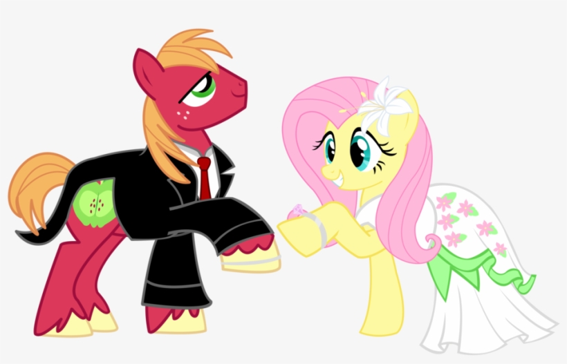 Pony Wedding Commission Big Mac X Flutt - My Little Pony Big Macintosh X Fluttershy Transparent ...