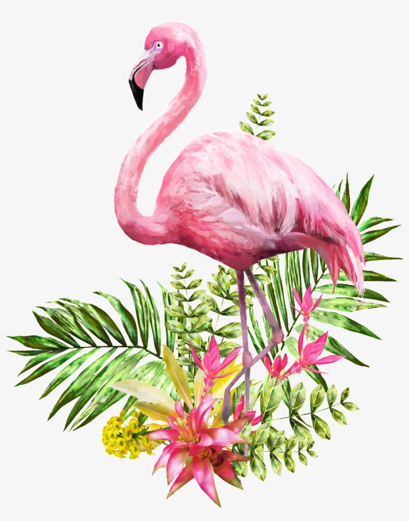 Flamingo Png Transparent Standing In Flowers And Grass - Flamingo Png ...