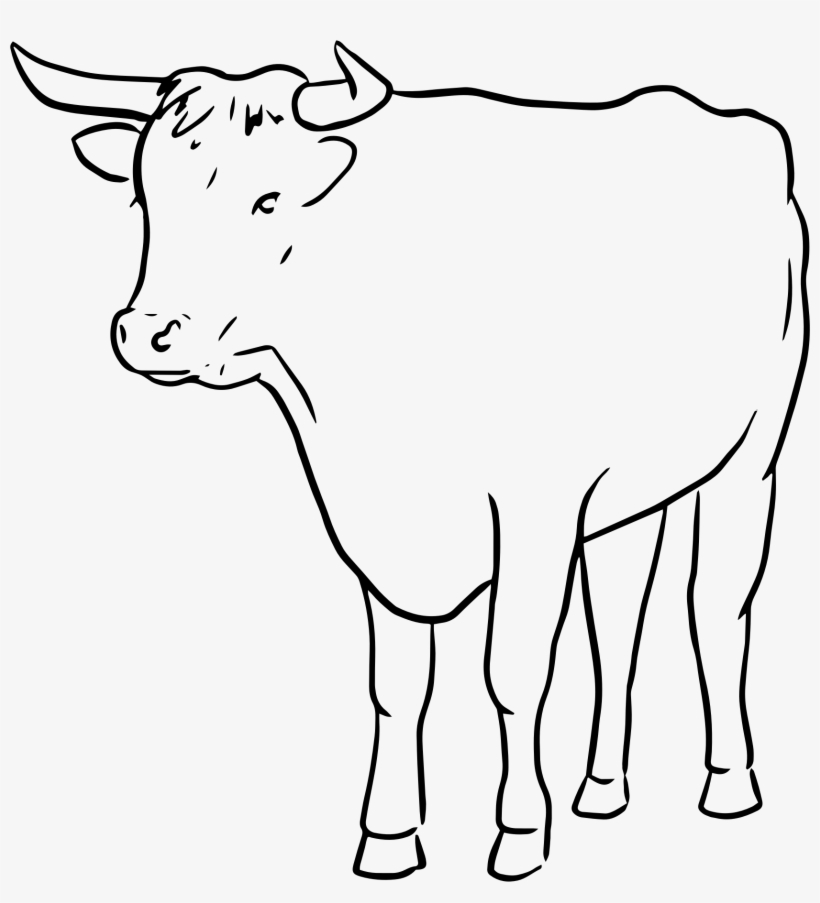 Clipart - Bull Line Art Transparent PNG - 1672x1761 - Free Download on ...