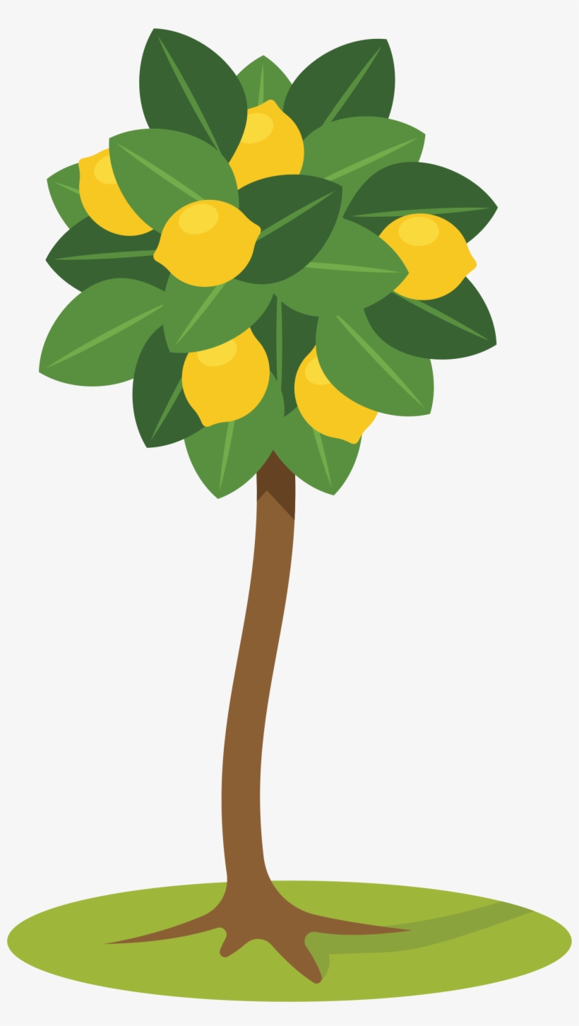 Big Image - Lemon Tree Clipart Transparent PNG - 1386x2388 - Free ...