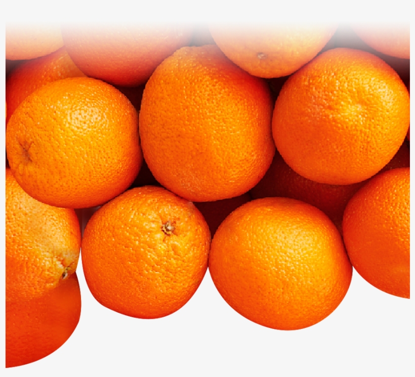 Oranges-v2 - Blood Orange Transparent PNG - 900x958 - Free Download on ...
