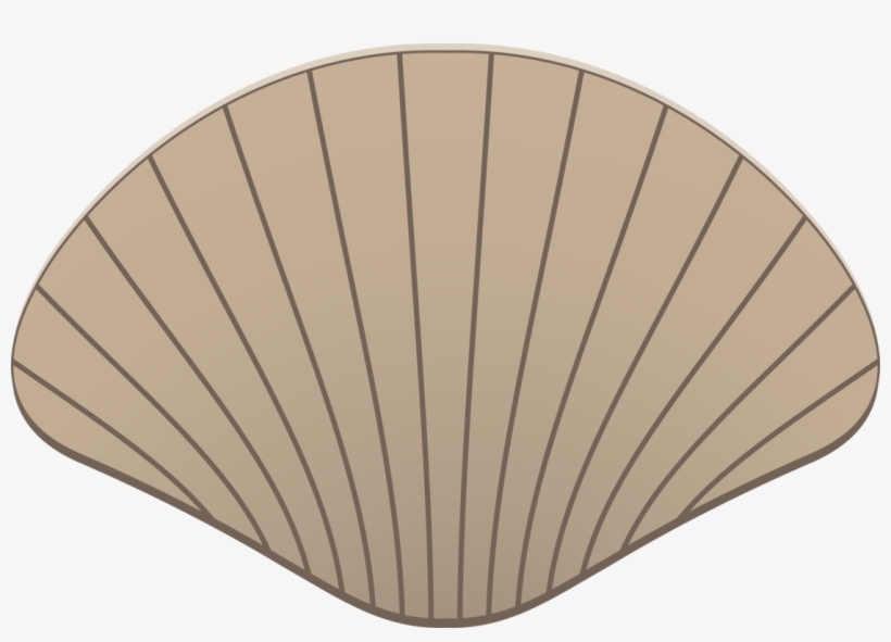 Seashell Drawing Download Computer Icons - Kerang Clipart Transparent ...
