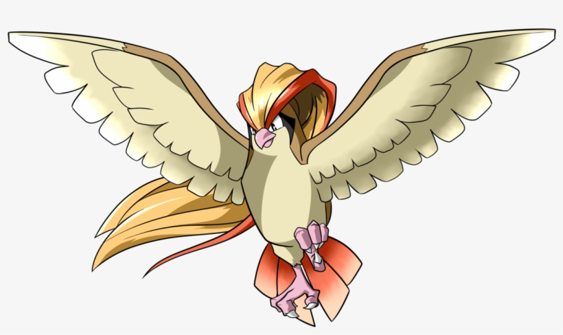Pidgeot Png - Intimidates With Wings Pokemon Transparent PNG - 1145x697 ...