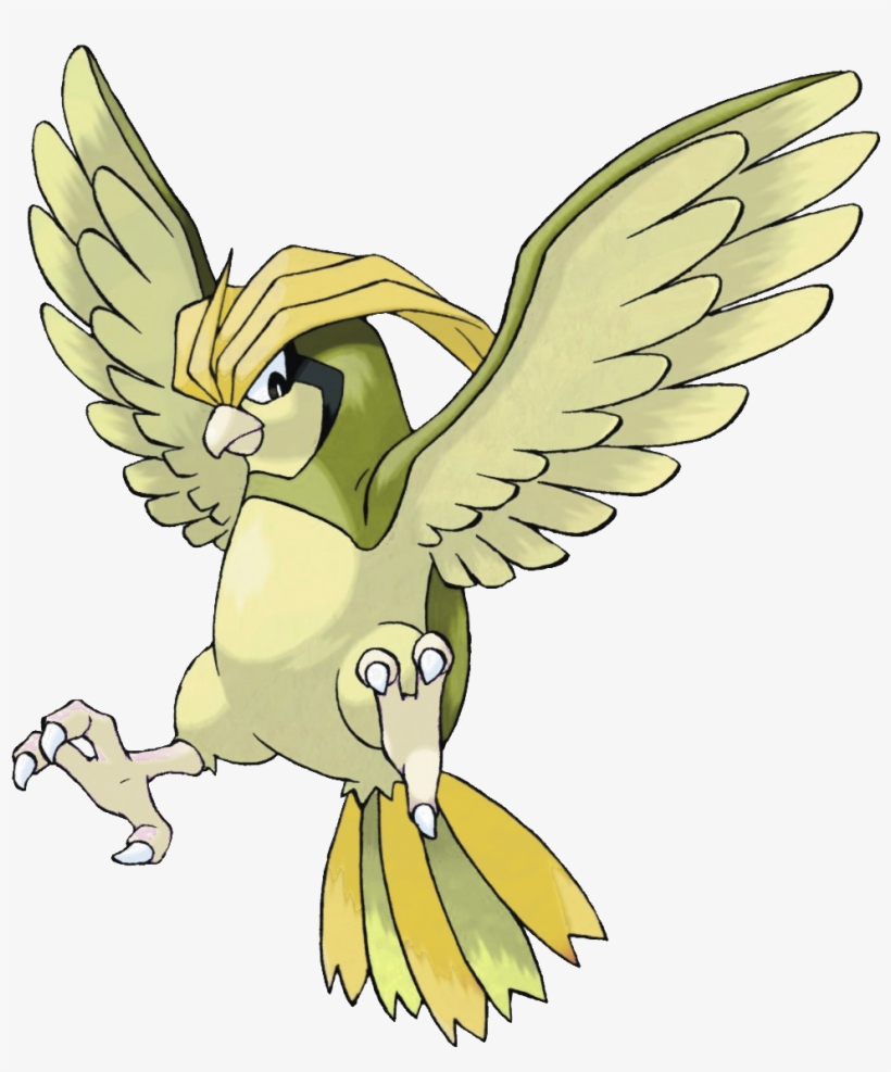 017 Pidgeotto Shiny - Peugeot Pokemon Transparent PNG - 975x1128 - Free ...