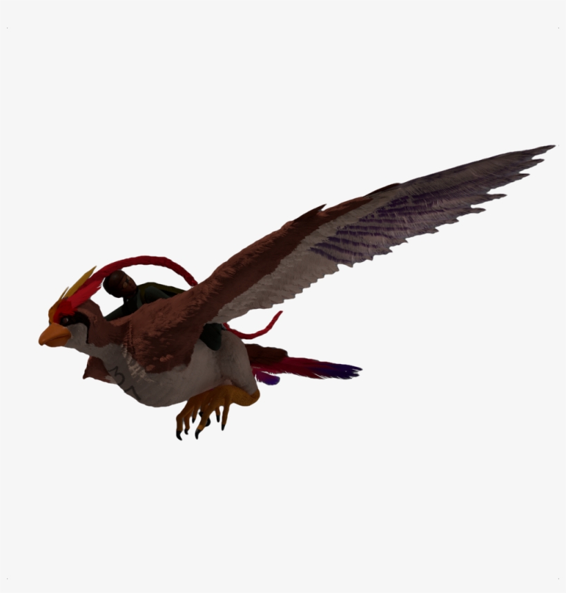 Vaguely Realistic Mega-pidgeot - Pokémon Transparent PNG - 1000x1000 ...