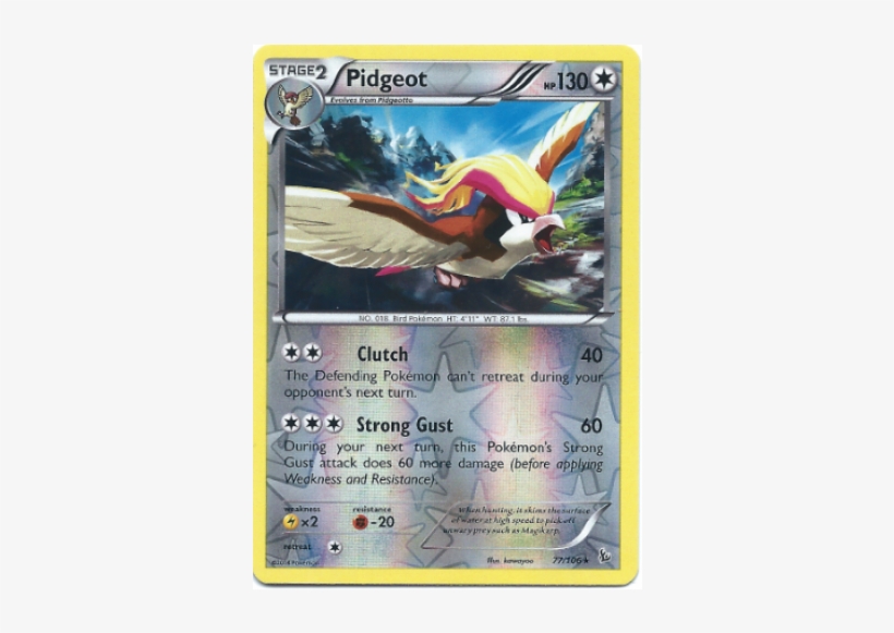 Pidgeot Png Transparent PNG - 500x500 - Free Download on NicePNG