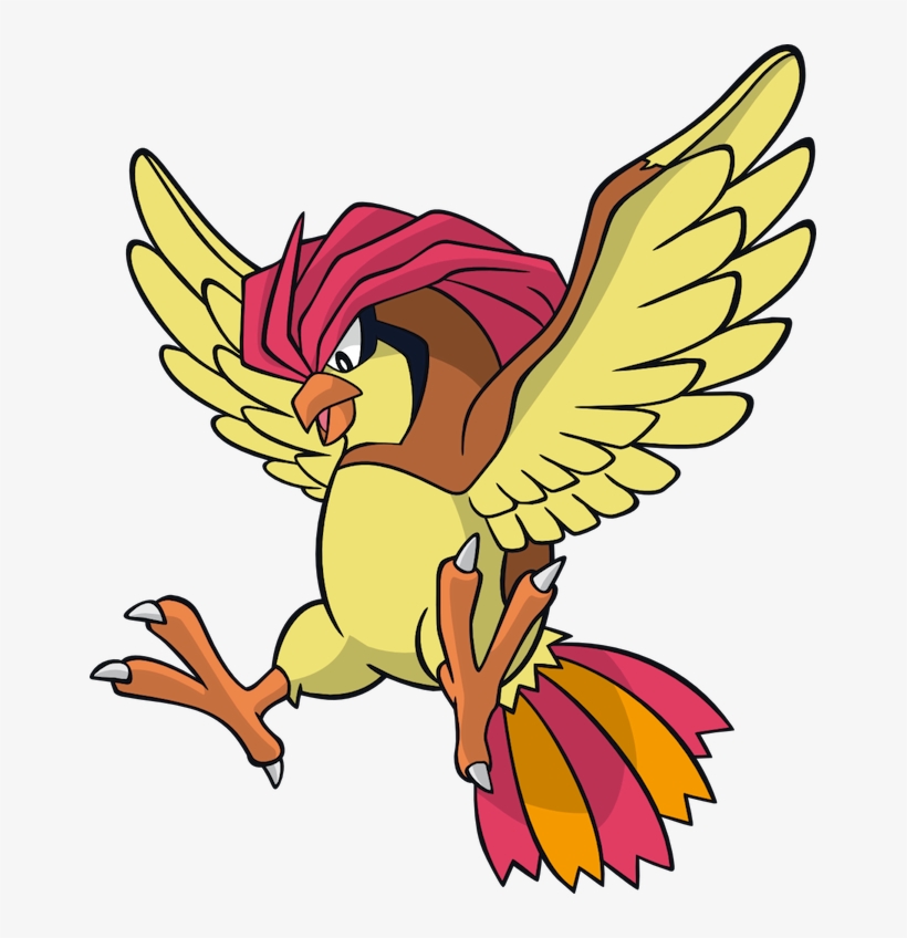 Pidgeot Pokémon Wiki Fandom Powered By Wikia - Pidgeotto Shiny ...