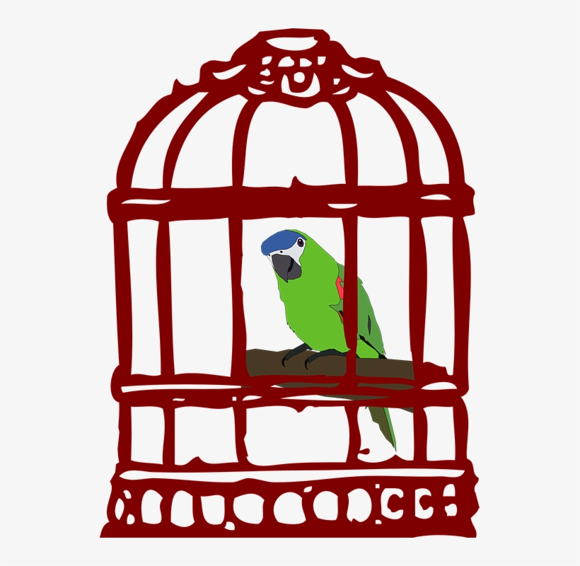 Caged Bird Clipart Backgrounds