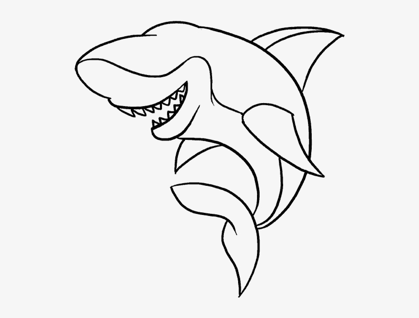 How To Draw A Shark Tail - Drawing Transparent PNG - 678x600 - Free ...