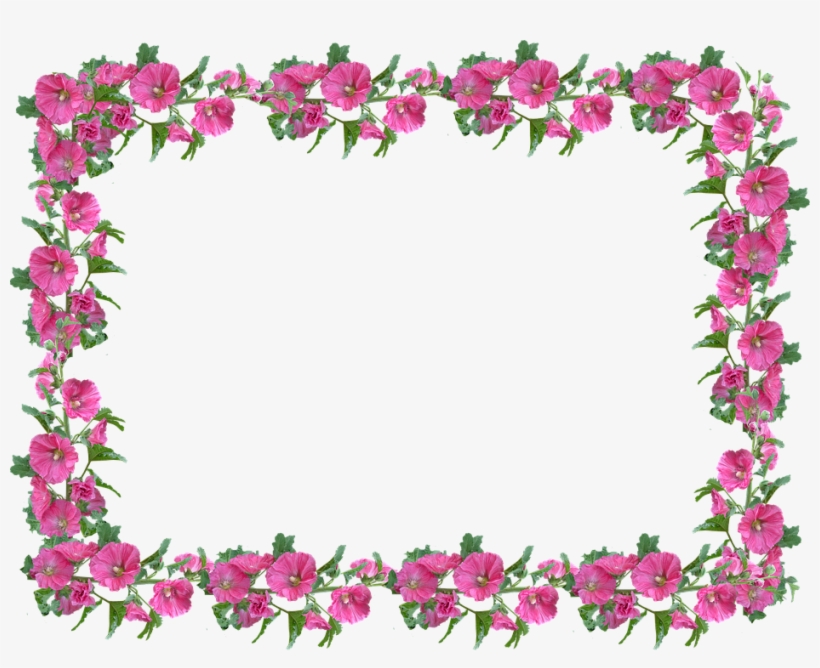 Frame, Border, Hollyhock, Pink, Floral - Frame Flora Transparent PNG ...
