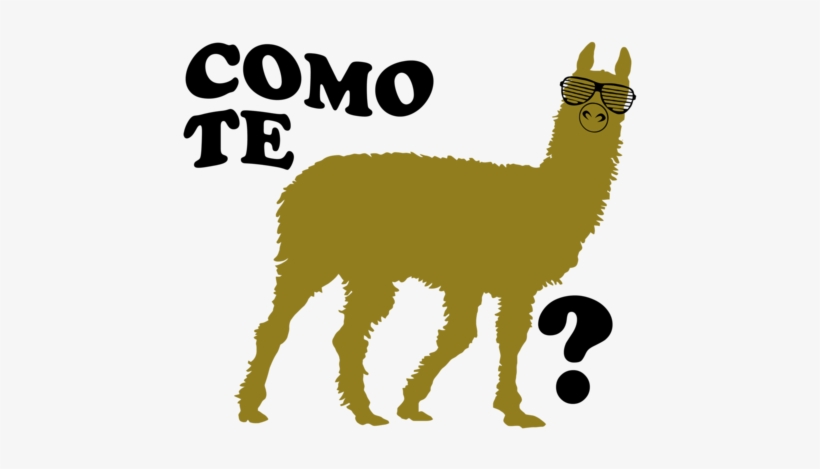 Como Te Llamas Name Tag