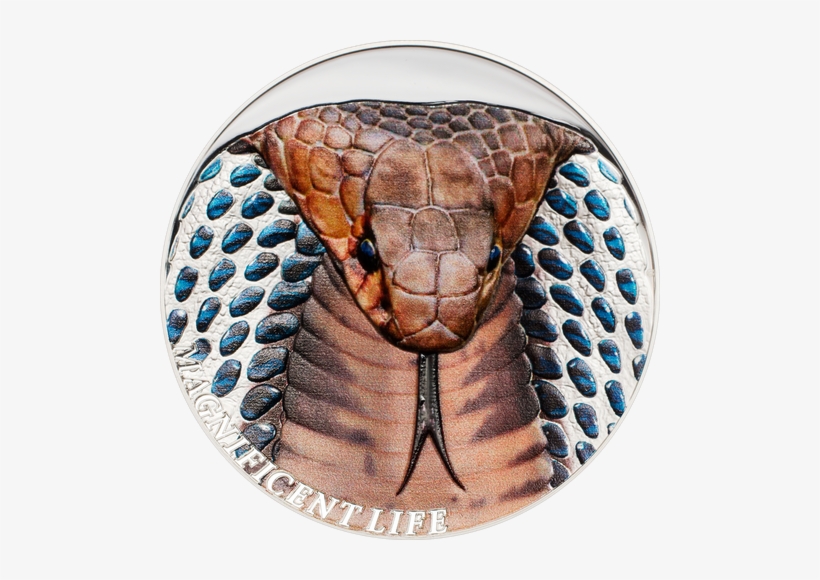 Silver Coin Transparent PNG - 500x500 - Free Download on NicePNG