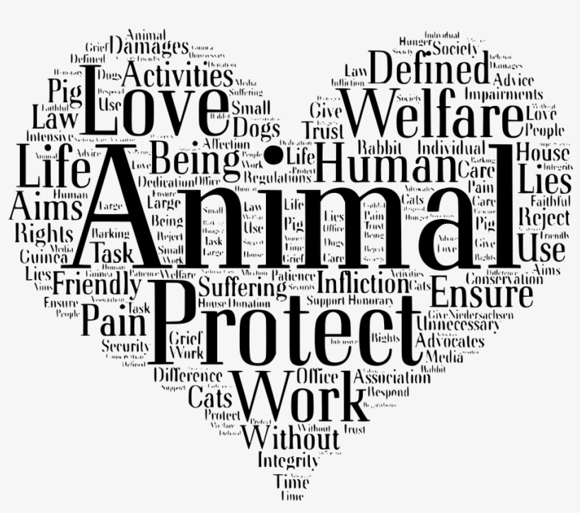 Download Png - Science Wordle Black And White Transparent PNG ...