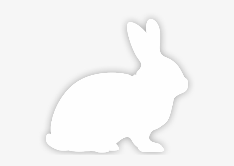 White - White Rabbit Silhouette Transparent PNG - 768x703 - Free ...