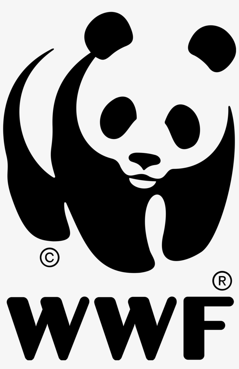 Wwf Logo - Wwf Logo Png Transparent PNG - 2000x2002 - Free Download on ...