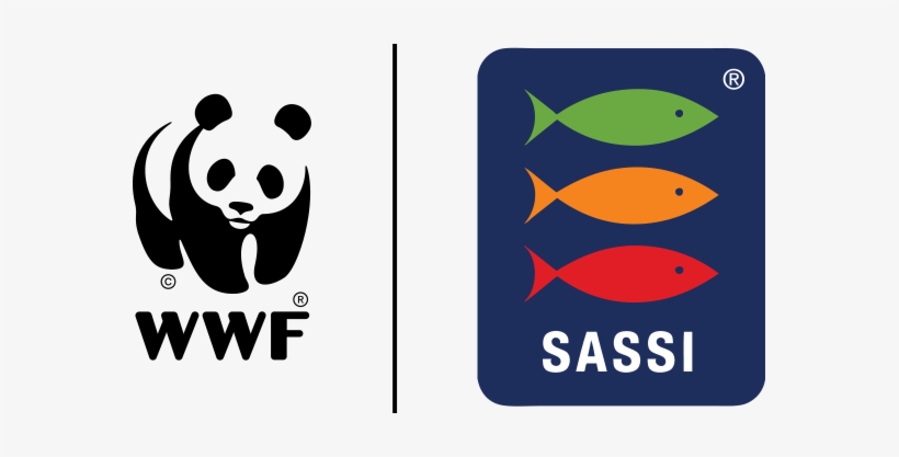 Wwf Logo Transparent