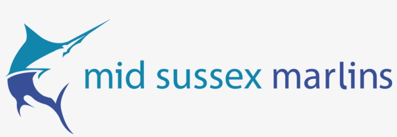 Miami Marlins Logo Png - Miami Marlins Transparent PNG - 1000x298 ...