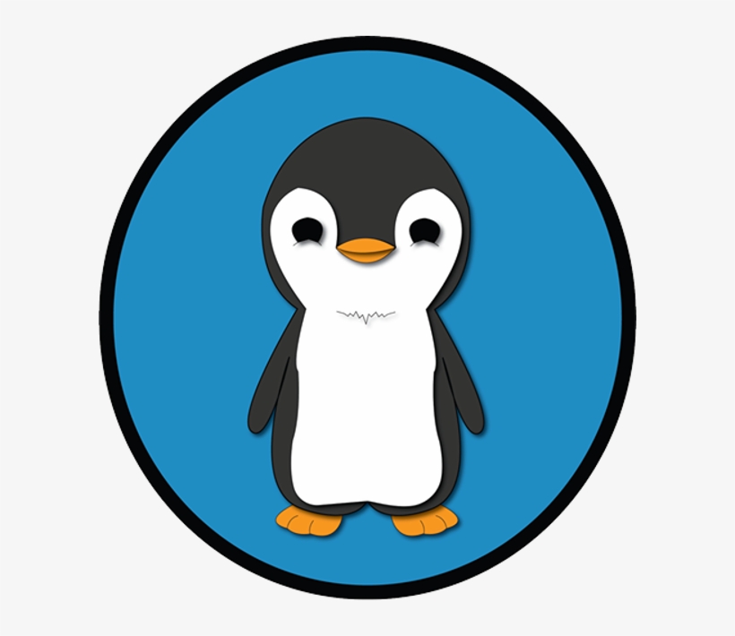 Little Animals Pingu Pingu - Photograph Transparent PNG - 600x630 ...