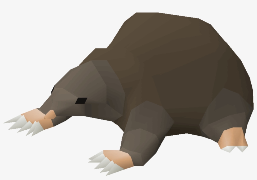 Hat Runescape Runescape Gnome Child By Cthulhuism Baby - Baby Mole Pet ...