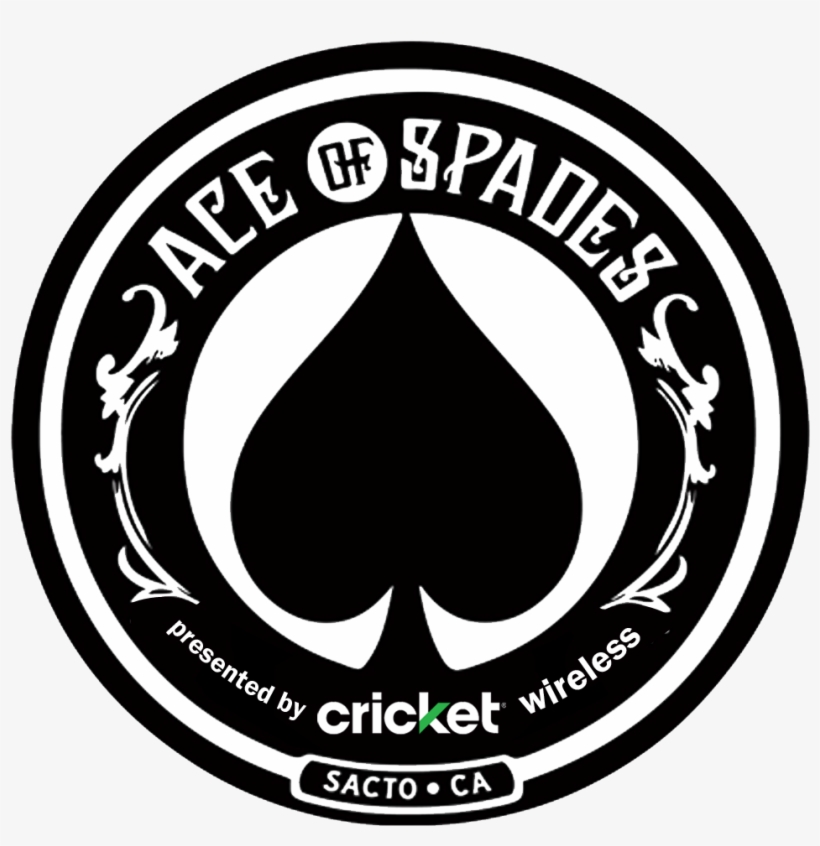 Aces Logo Cricket