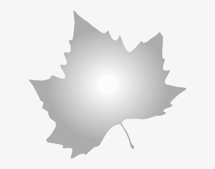 Maple Leaf White Png Transparent PNG - 600x566 - Free Download on NicePNG