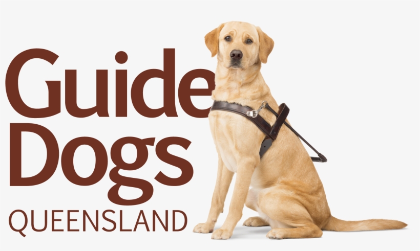 Logo-guidedogs - Guide Dog Transparent PNG - 2027x1181 - Free Download ...