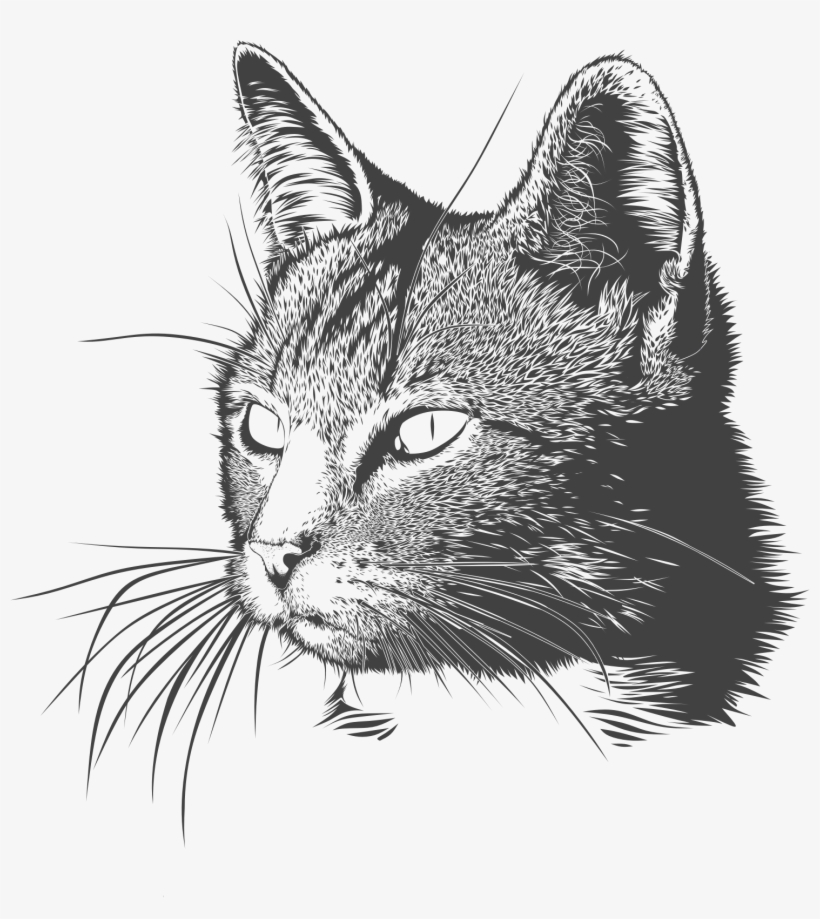 Big Image - Beautiful Cat Head With The Word Meow Transparent PNG ...