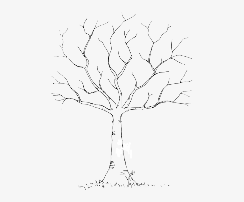 Blank Background Tree For Diy Fingerprint Trees Would Fingerprint 