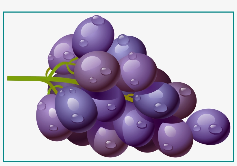 Single Grape Cartoon