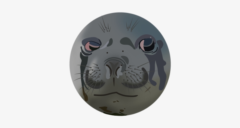 Another Crying Seal Meme Redrawn I Like Doing This - Crying Seal ...