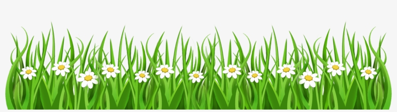 Grass Border Transparent Download - Easter Grass Clipart Transparent ...