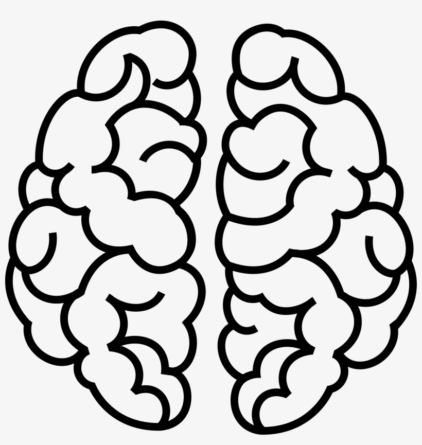 Brain Outline Png